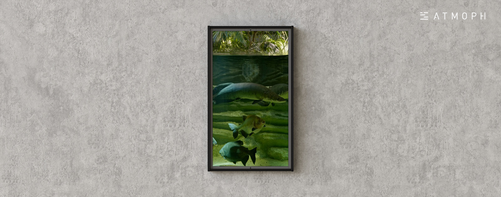 Amazon Zone at Kawasaki Aquarium, Kanagawa | Atmoph Window