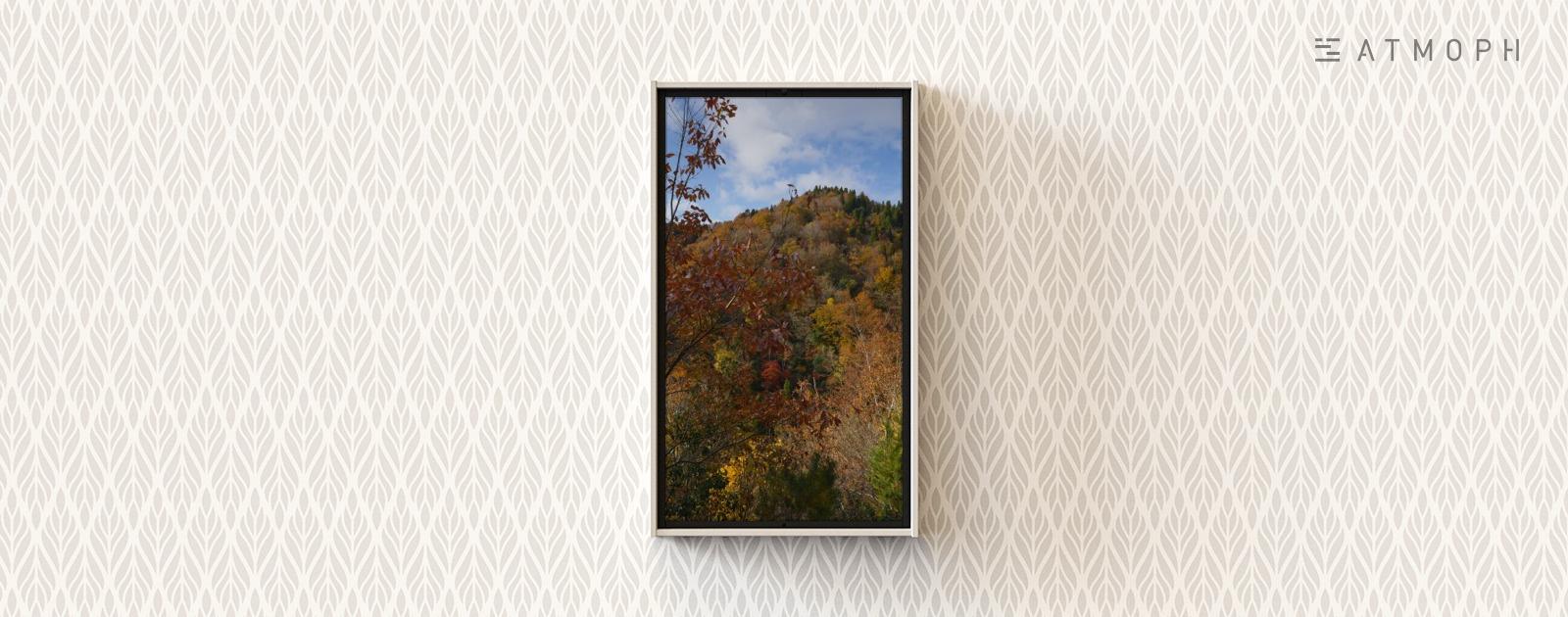 Autumn Leaves at Onyu Pass 4, Shiga | Atmoph Window