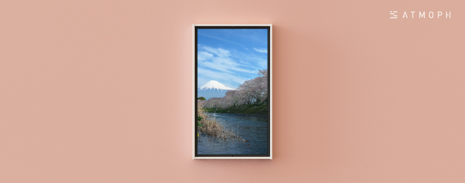 Cherry Blossom of Urui River 1, Shizuoka | Atmoph Window