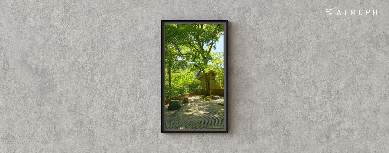 Courtyard with Singing Cicadas, Kyoto | Atmoph Window