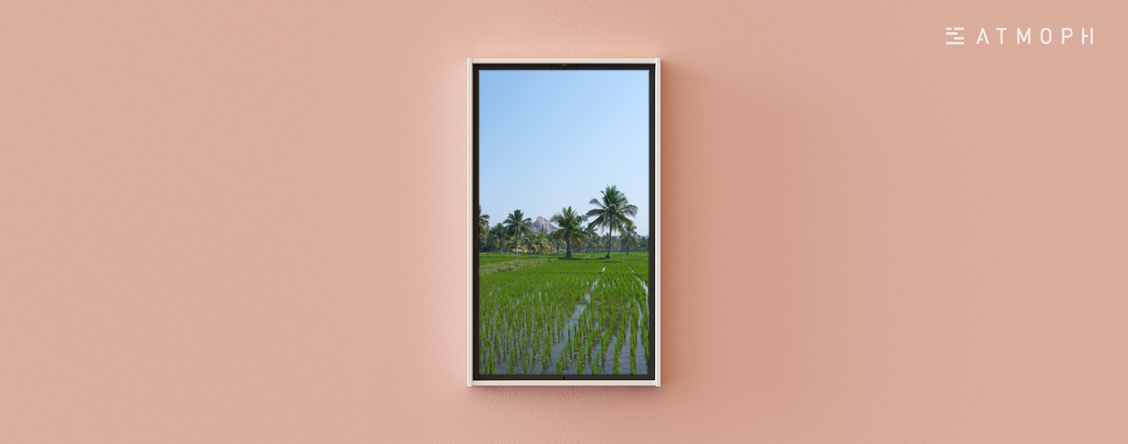 Rice Field at Hampi, Karnataka | Atmoph Window